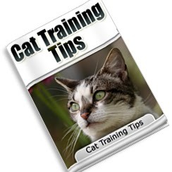 @kingdomofpets | Linktree